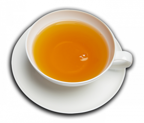 TeaLogic - Ihr Partner für Teezubehör für den Großhandel